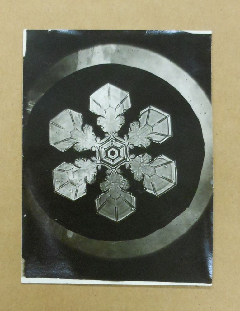 Sold at auction Wilson Alwyn Bentley (American, 1865-1931) Four ...