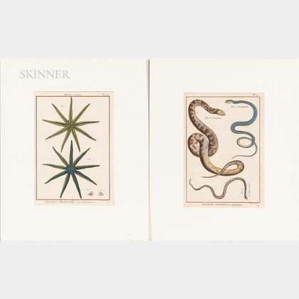 Sold at auction Robert Bénard (French, 1734-1777) Two Plates from ...